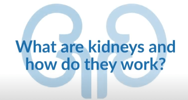 Kidney Disease and Hypertension Education Resources - Connecticut ...