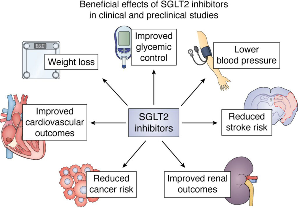 A New Era in Kidney Care: The Role of SGLT-2 Inhibitors in Chronic ...
