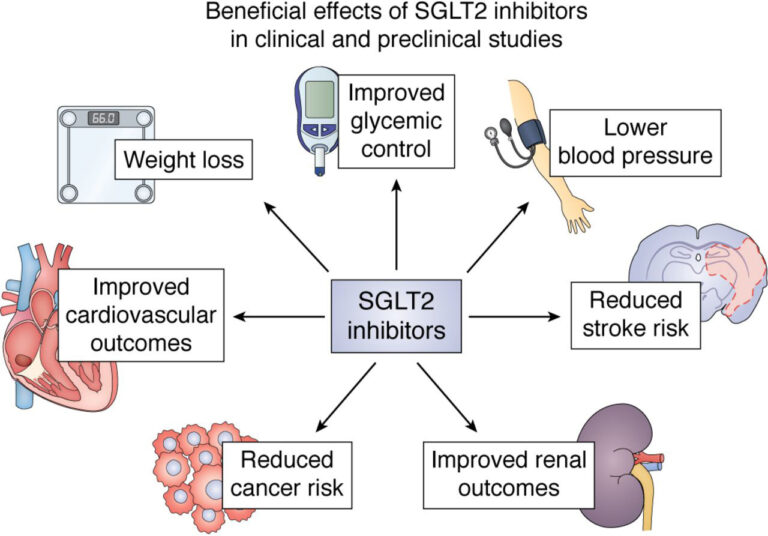 A New Era in Kidney Care: The Role of SGLT-2 Inhibitors in Chronic ...